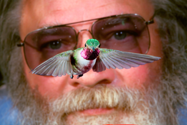 Gregory Scott - Official Website